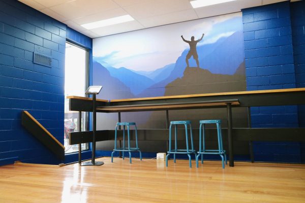 Pinnacle Health Clubs